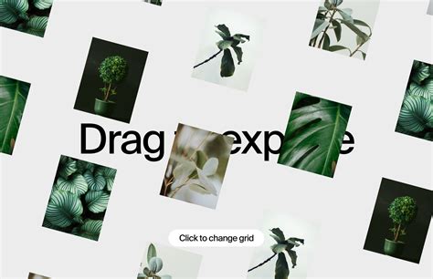Fullscreen Gallery Grid To Slider Makethecut Studio Figma