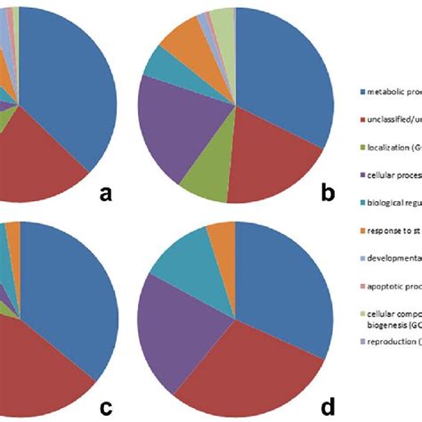 Gene Ontology Functional Classification Of Differentially Expressed