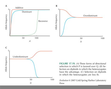 Frequency Dependent Selection