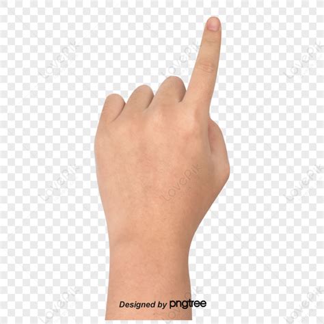 클릭 제스처인물손 타입 Png 일러스트 무료 다운로드 Lovepik