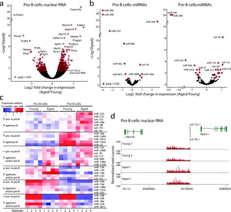 Nascent RNA And MiRNA Expression Changes Upon Aging In Pro And Pre B Download Scientific