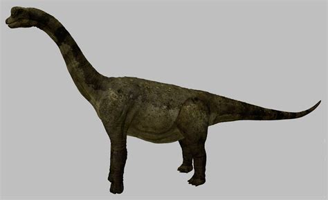 Paluxysaurus Prehistoric Monsters Wiki Fandom Powered By Wikia