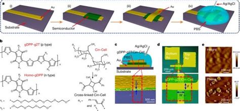Vertical Organic Electrochemical Transistors For Complementary Circuits Rchinainnovation