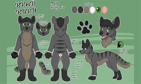 Draw Furry Reference Sheet Fursona Character Design Furry Art Ocs