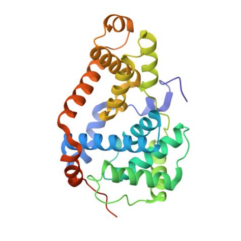 Rcsb Pdb 8tq2 Structure Of The Kinase Lobe Of Human Cdk8 Kinase Module