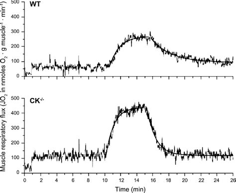 Figure 1 From Mitochondrial Function Dysfunction In Health And Disease