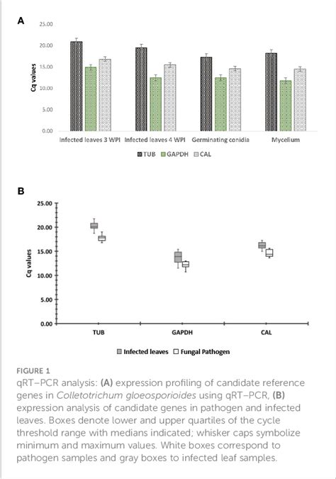Figure 1 From Selection And Validation Of Reference Genes For