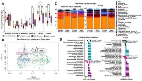 Melanie O On Linkedin Gut Biogeography Accentuates Sex Related