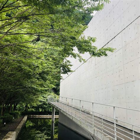 びっくりするようなことが起きて 人生って不思議だなぁと思う いろんなことが起きようとも 心に安定を、軸を持てば 揺れ動こうとも流されて 自分を