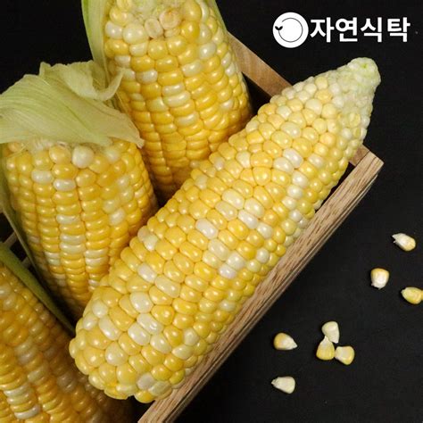 프리미엄 국내산 초당옥수수 20개 특품14cm이상 홈플러스 택배배송