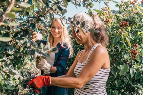 Premium Photo Two Caucasian Women Working In A Tree Garden