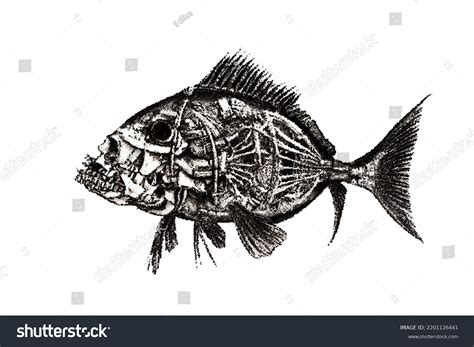 Fantastic Fish Skeleton Sea Monster Vector Stock Vector Royalty Free