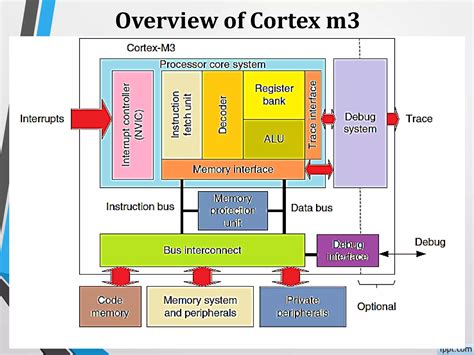 ARM Microcontrollers And Embedded Systems Module 1 VTU PPT
