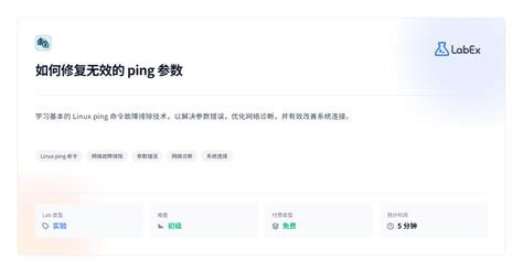 如何修复无效的 Ping 参数 Labex