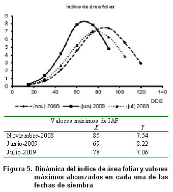 Influencia De Tres Fechas De Siembra Sobre El Crecimiento Y Rendimiento