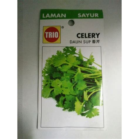 Biji Benih Daun Sup Celery Shopee Malaysia