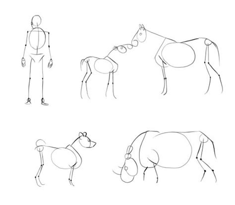 How To Learn To Draw By Tracing Monika Zagrobelna