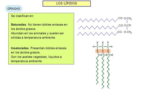 LOS NIVELES DE ORGANIZACIÓN ppt video online descargar