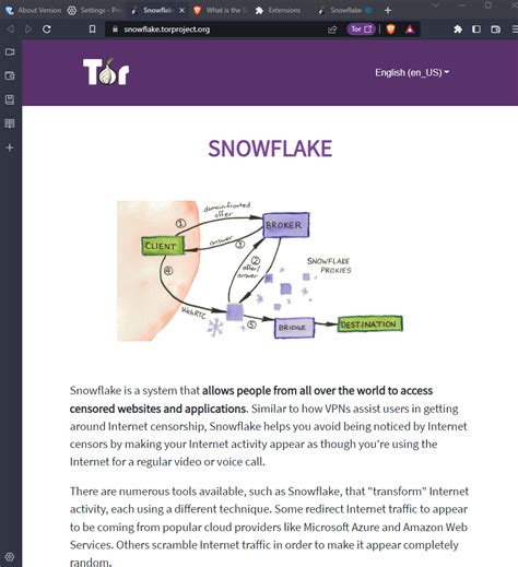Promoting The Snowflake Extension In Brave · Issue 25315 · Bravebrave