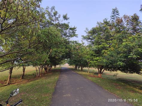 Tree Road Free Photo On Pixabay Pixabay