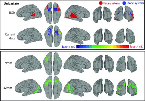 Functional Imaging Results With Univariate And Searchlight Univariate