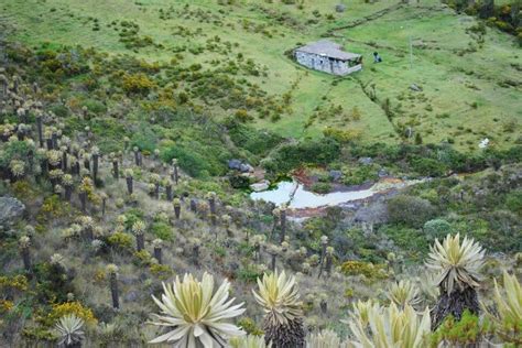 Pnn Los Nevados Termales