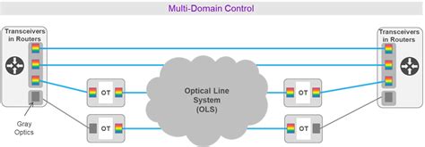 Unifying Coherent Routing With Optical Transport Ribbon Communications