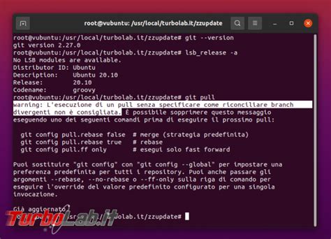 Risolto Git Pull Warning L Esecuzione Di Un Pull Senza Specificare Come Riconciliare Branch