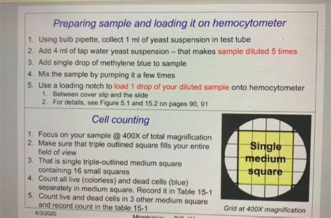 Lab Report Questions Why Did You Count Cells Chegg
