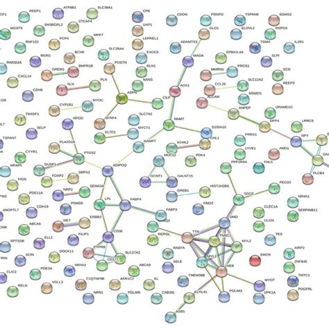 Protein Protein Interaction Network Of Down Regulated Genes Spheres Download Scientific