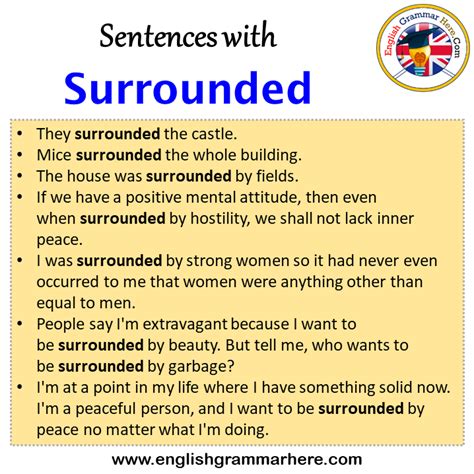 Sentences With Surrounded Surrounded In A Sentence In English