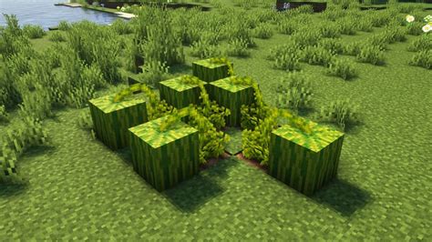 Fancy Crops Texture Pack Para Minecraft 1 21 10 1 20 6 1 19 4 1 18 2 1 17 1 1 16 5 1 15 2