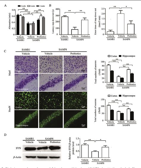 Figure From Probiotics Modulate The Microbiotagutbrain Axis And Improve Memory Deficits In