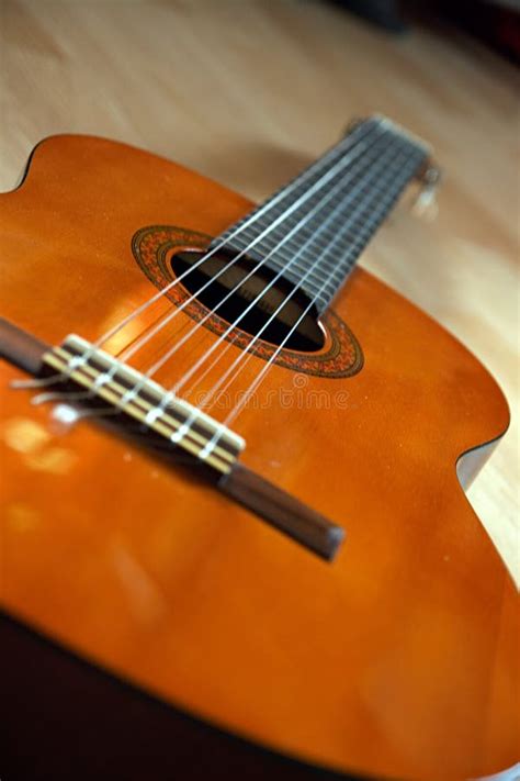 Musical Instrument Guitar String Instrument Bass Guitar Picture