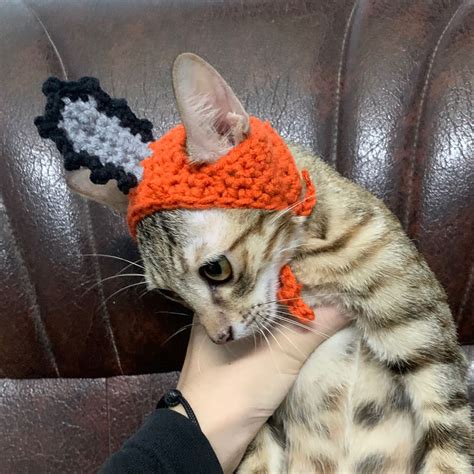 Best 13 33 Free Crochet Cat Hat Patterns Artofit