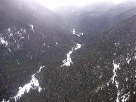 The MSS In BC 2009