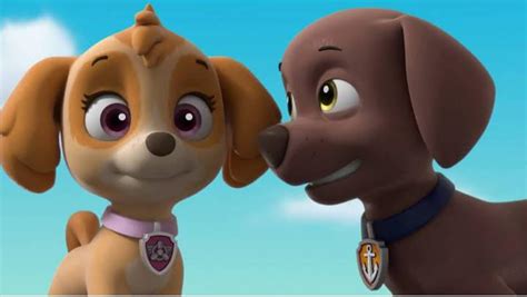 Paw Patrol Skye And Zuma By Stephaniegabi237 On Deviantart
