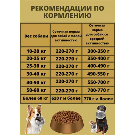Корм для собак «Рэкс крупных и средних пород 2 кг купить в Минске