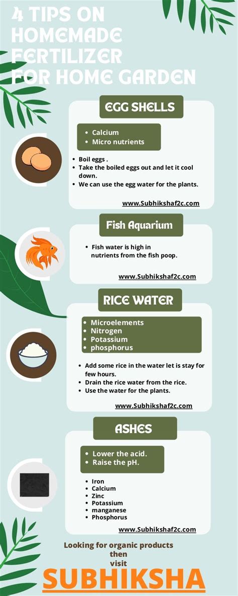 4tips On Homemade Fertilizers For Home Garden