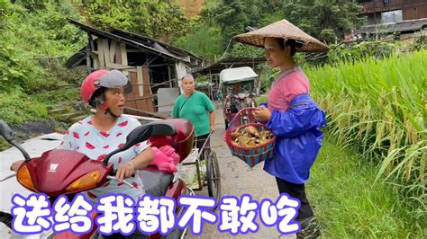 夫妻俩冒雨进山摘到一大篮蘑菇，送给邻居都不敢要，朋友买鸡来炖别提有多香啦 Youtube