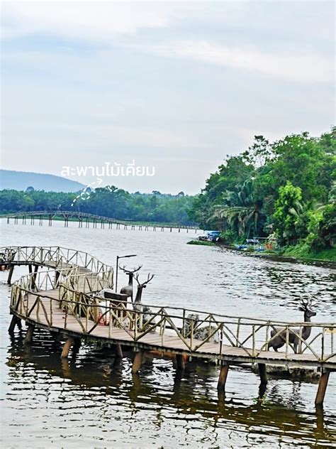 สะพานชมกวาง ชุมพรจุดเช็คอิน ห้ามพลาด กวางเยอะ 🫎🐓 แกลเลอรีที่โพสต์โดย