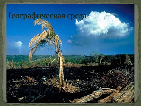 Взаимодействие общества и природы презентация онлайн