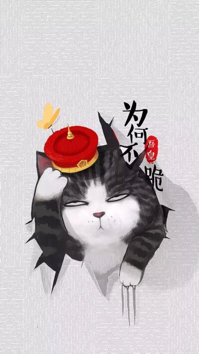 吾皇万睡 高清图片，堆糖，美图壁纸兴趣社区