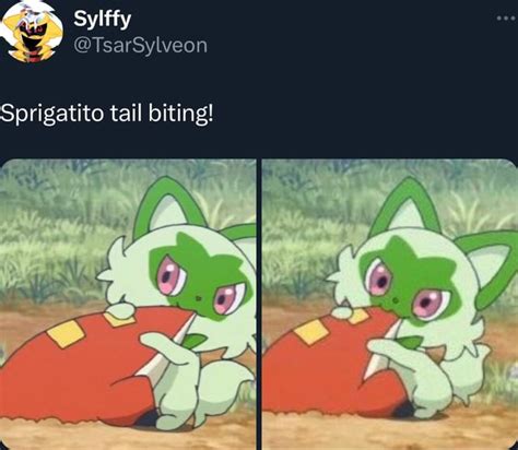 Sylffy Sprigatito Tail Biting Ifunny