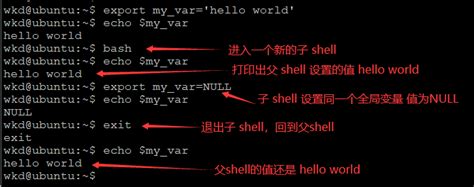 【linux Shell命令】linux 环境变量shell 设置环境变量 Csdn博客