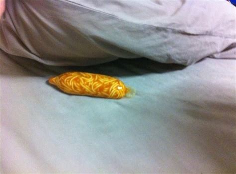 Does This Photo Of A Condom Filled With Spaghetti Mean We Have Reached