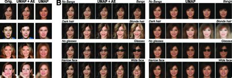 Reconstruction And Interpolation A Parametric Umap Reconstructions