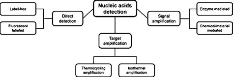The Strategies Of Nucleic Acids Detection Download Scientific Diagram