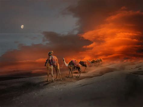 Как сделать маску в Фотошопе и ФотоМОНТАЖе пошагово