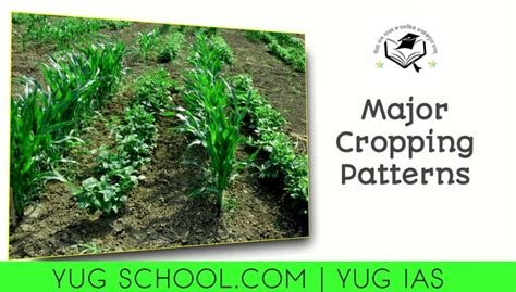 Major Cropping Patterns In Various Parts Of The Country Yug School